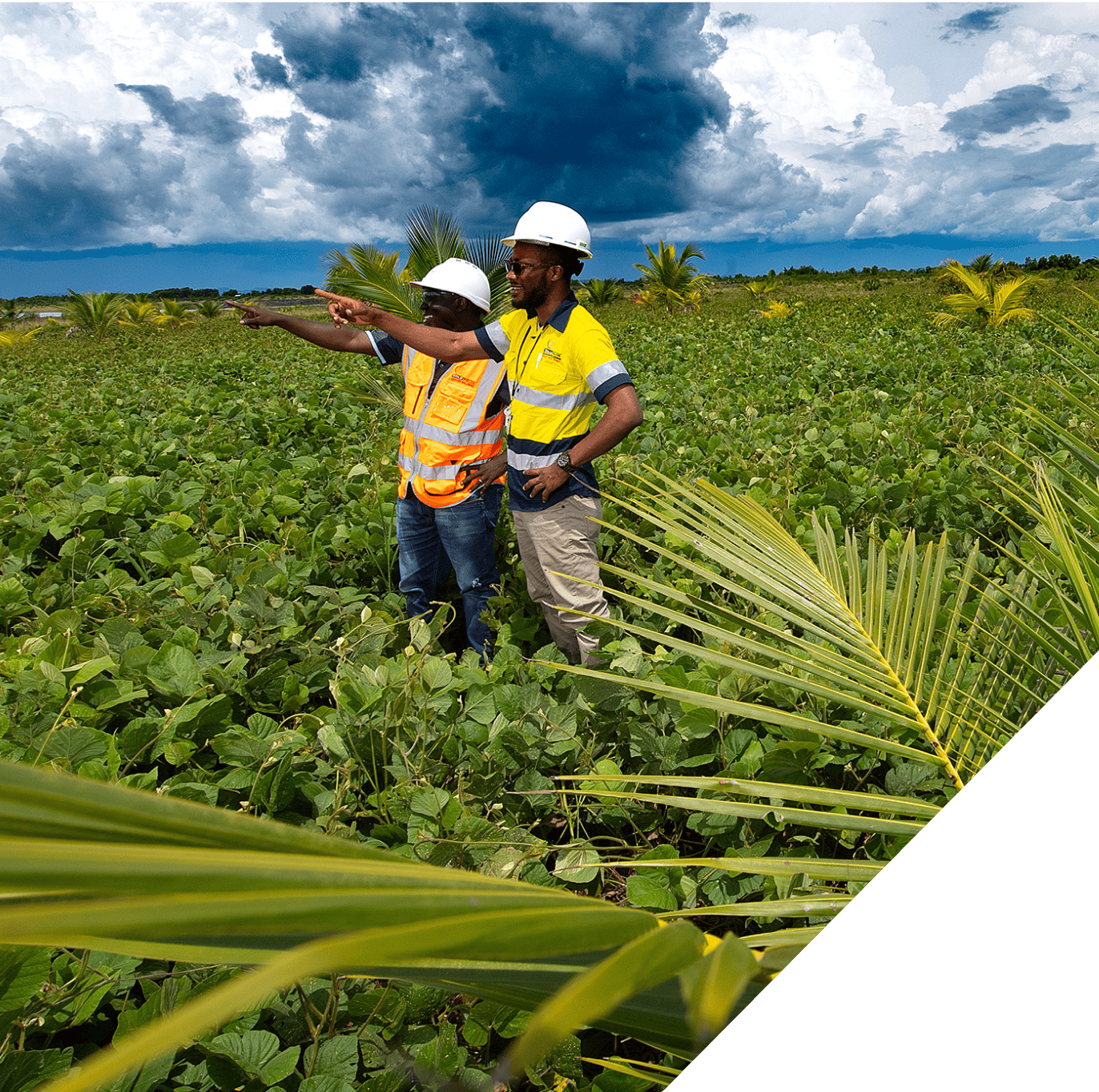 Home - GTMI - Global Tailings Management Institute